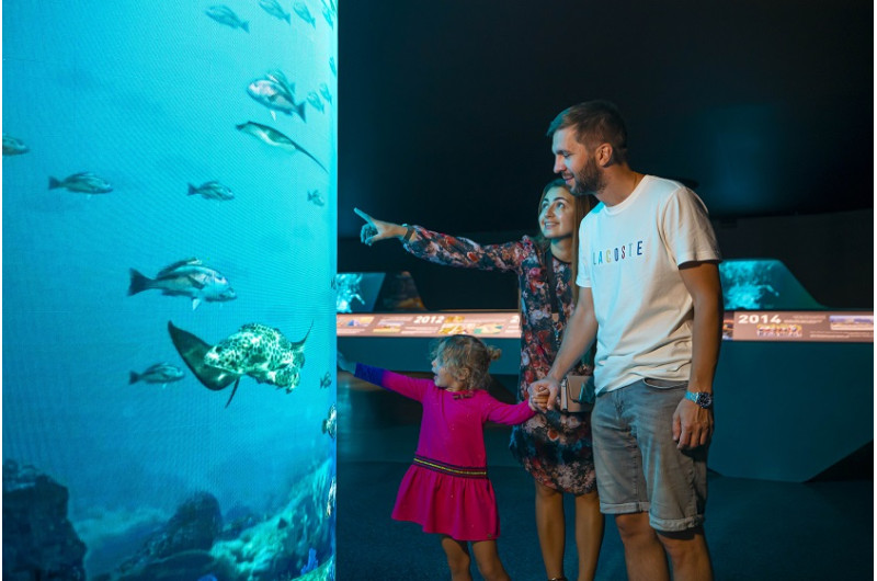 The View at the Palm tickets | Dubai City Pass