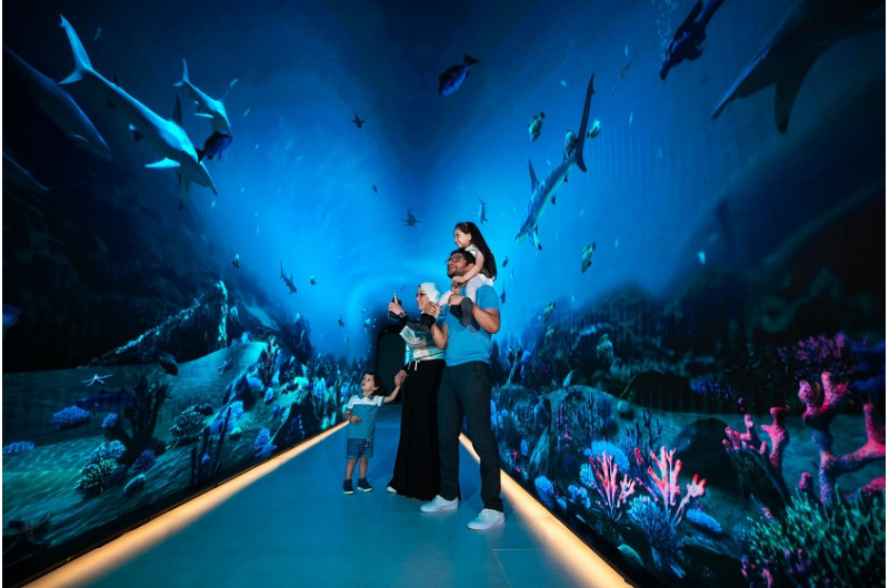 The View at the Palm tickets | Dubai City Pass